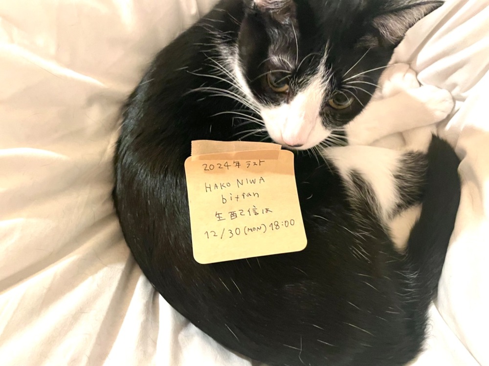 植田真梨恵 OFFICIAL FANCLUB 箱庭 bitfan