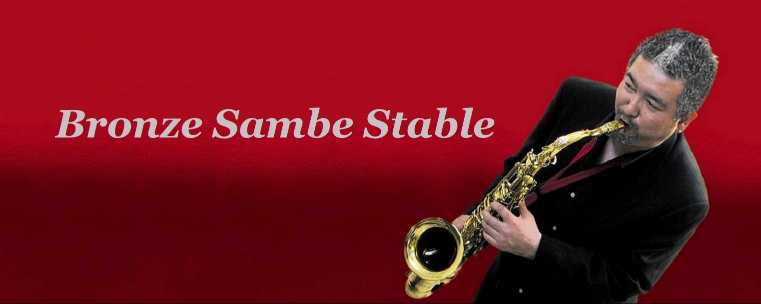 Bronze Sambe Stable